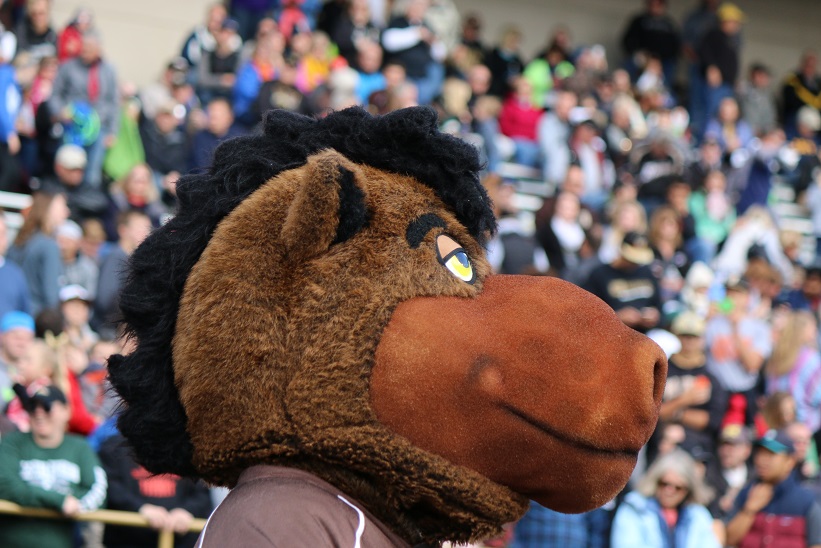 Michigan Exposures: Eastern Michigan at Western Michigan Football