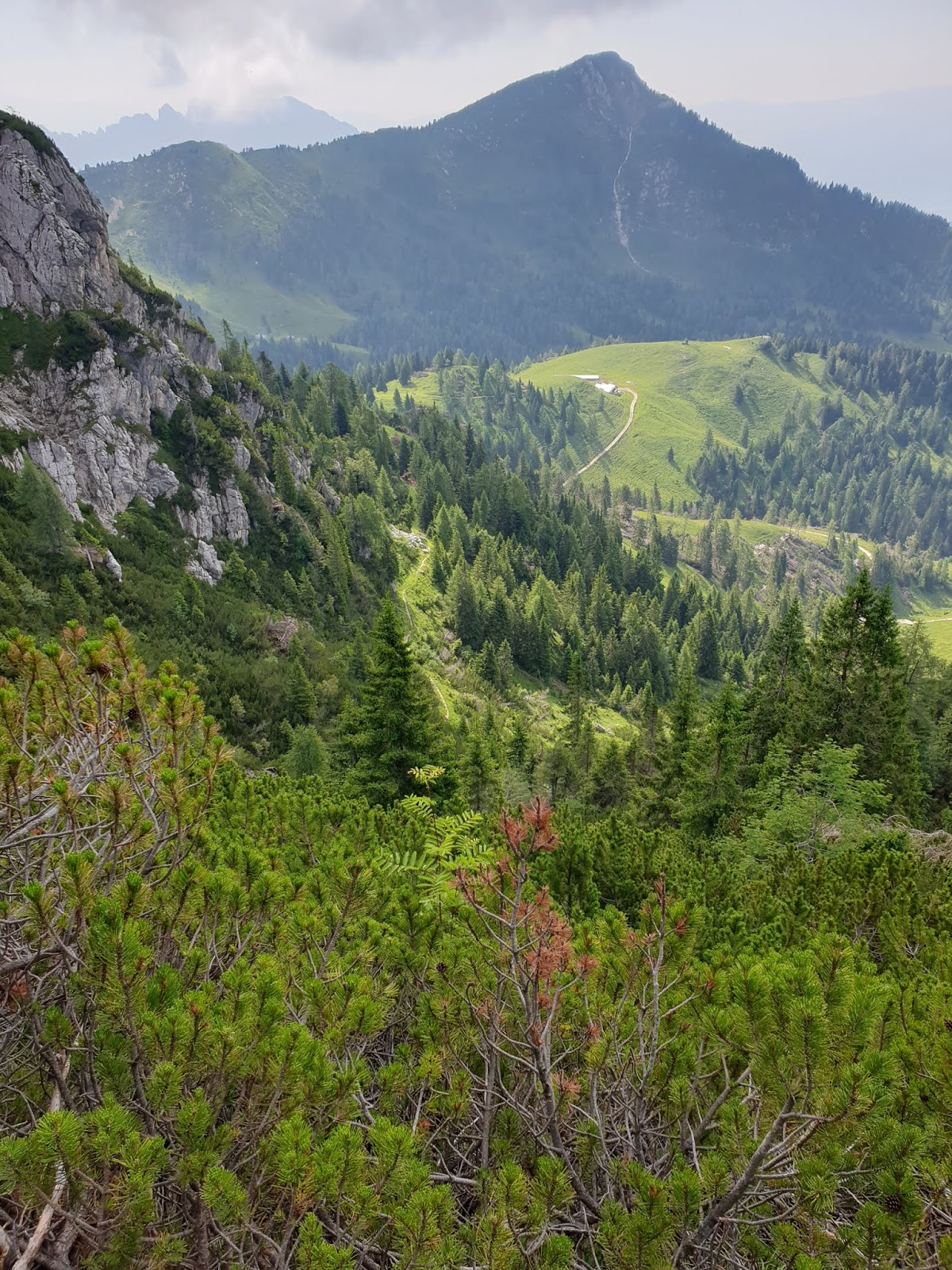 Su strade e sentieri: MONTE NEVA (m. 2.235) - Vette Feltrine