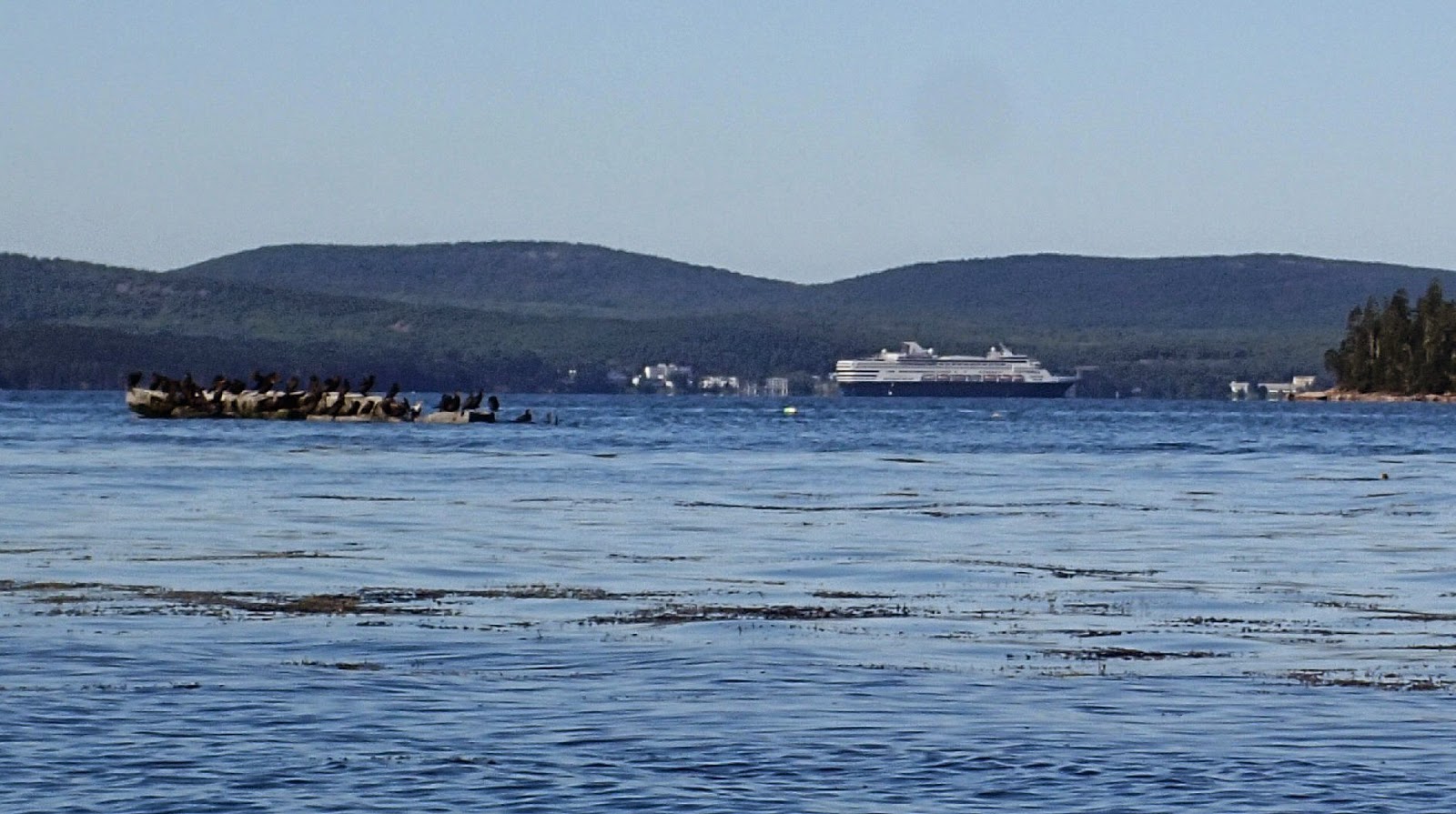 PenobscotPaddles: Ironbound Island from South Gouldsboro