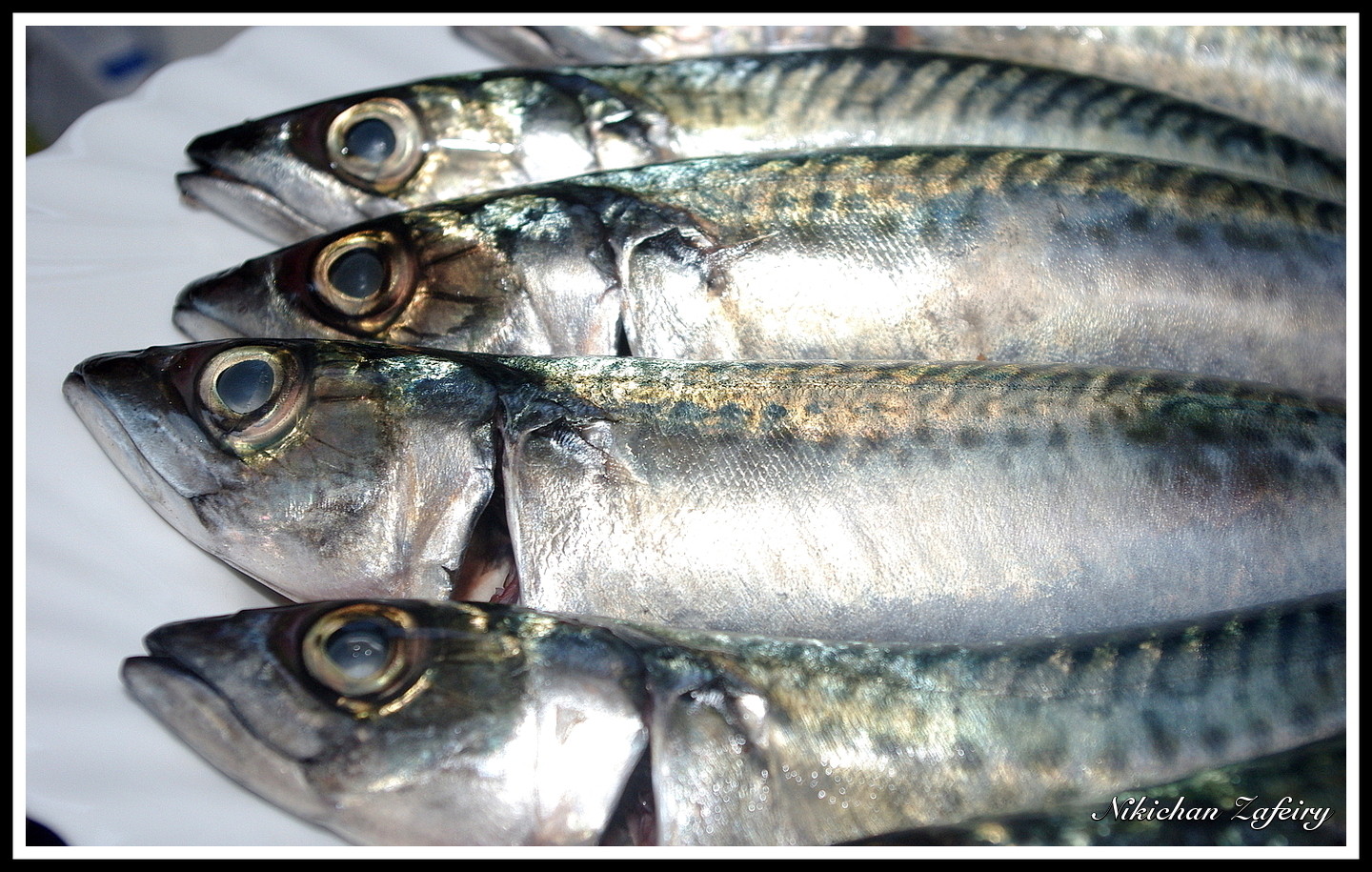 Verdel o Caballa al Horno - Recetas de una Gatita Enamorada