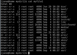 Materi TKJ: Pengertian CLI (Command Line Interface) di Linux
