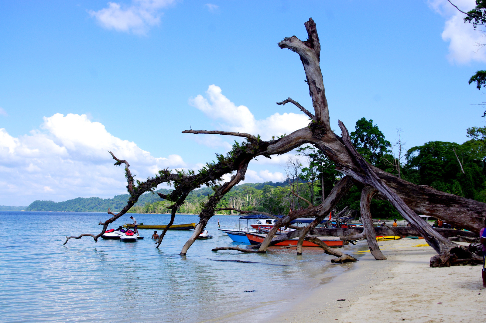 My Travel & Photography: Amazing Andaman