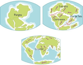 Geografía - 1º Año - 2021: Teoría de la deriva continental.