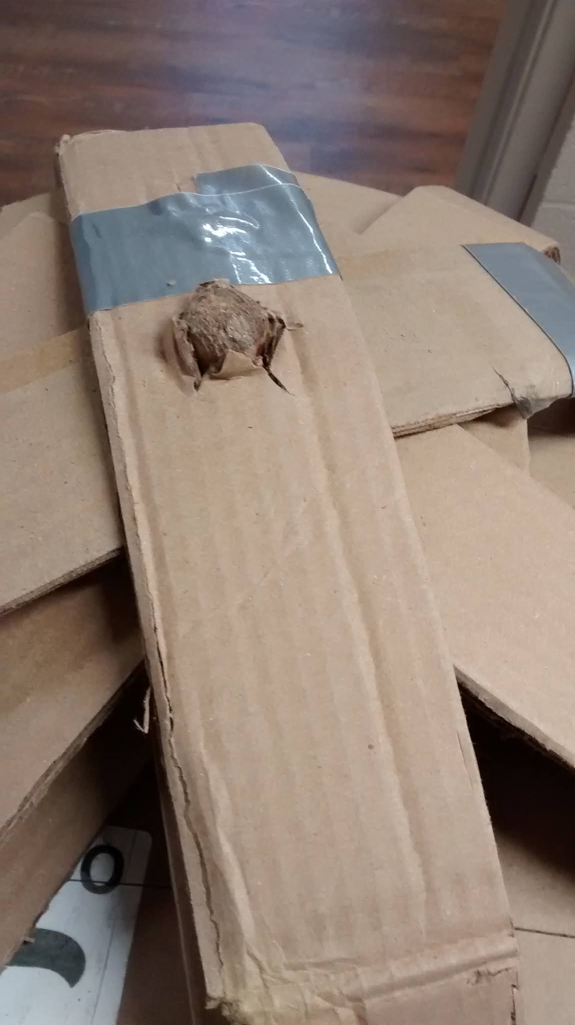 Kidfrugal: DIY Eggtremely Large Easter Egg