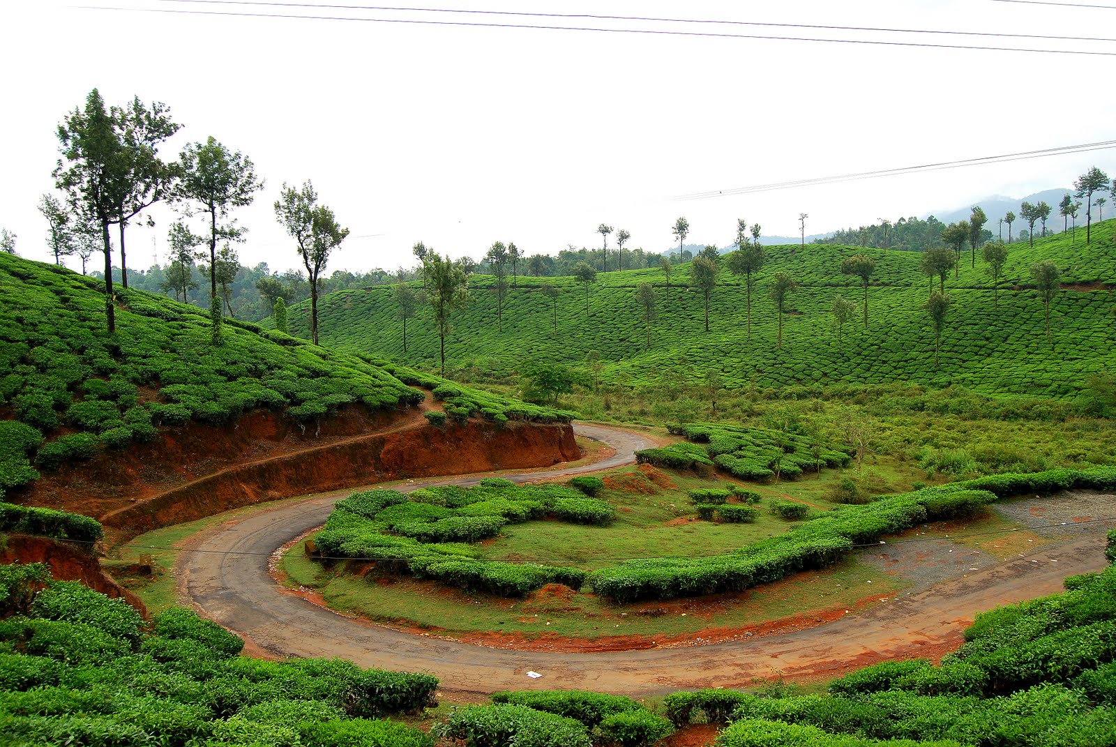 My Travel & Photography: Wayanad, Kerala
