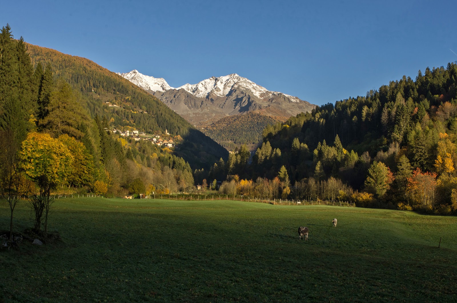 4 passi in Val di Sole: Panorami autunnali in Val di Peio