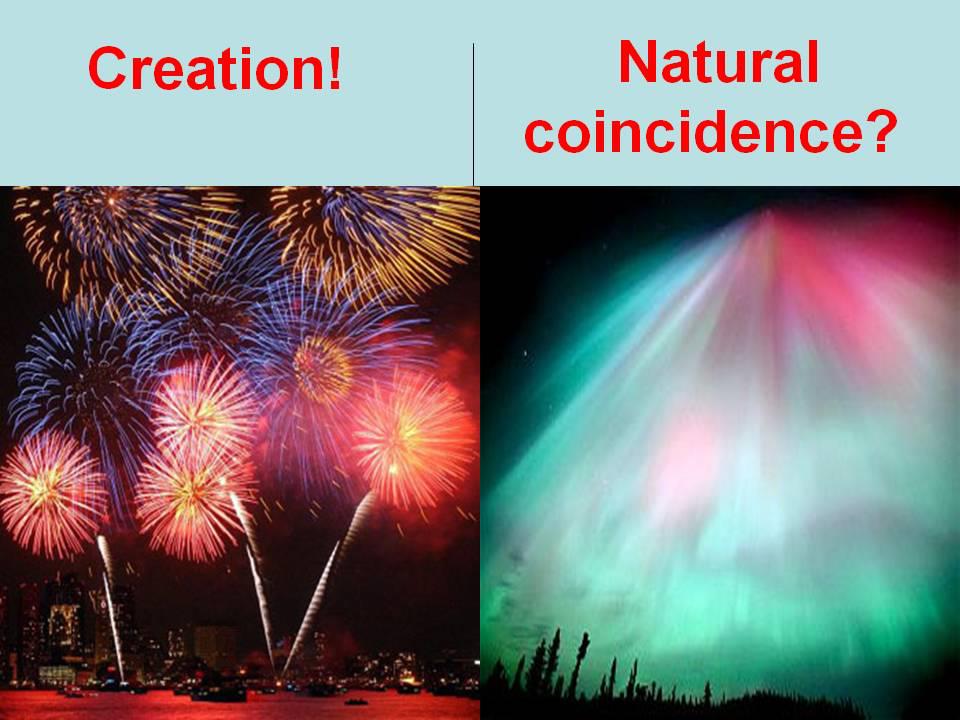 Tracy's Treasury: Creation or Natural Coincidence?