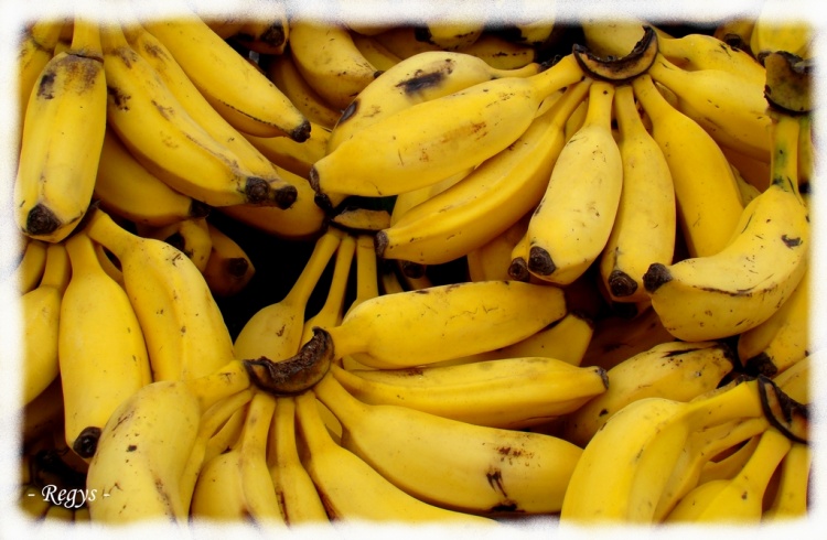 Bem Vindas Mamães ...: Saiba Como Escolher as Melhores Frutas Na Hora ...