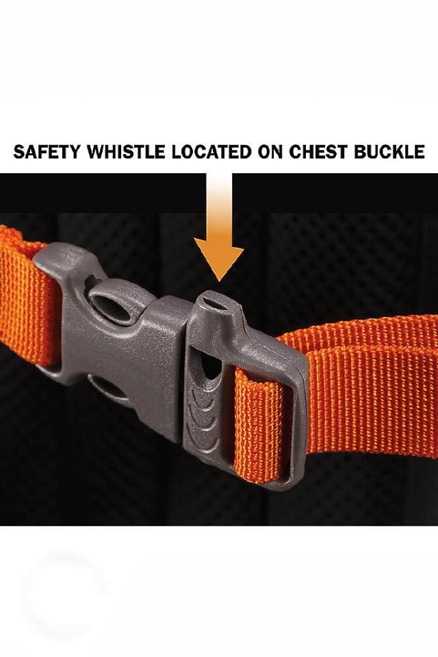 Travel Little Bag: THE NORTH FACE BOX SHOT