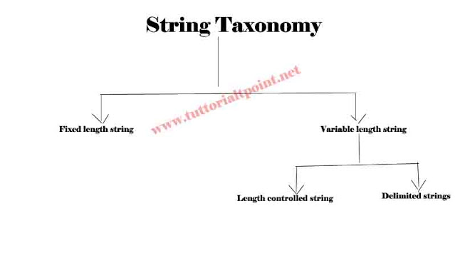 String Taxonomy in C programming ~ TUTORIALTPOINT- Java Tutorial, C ...