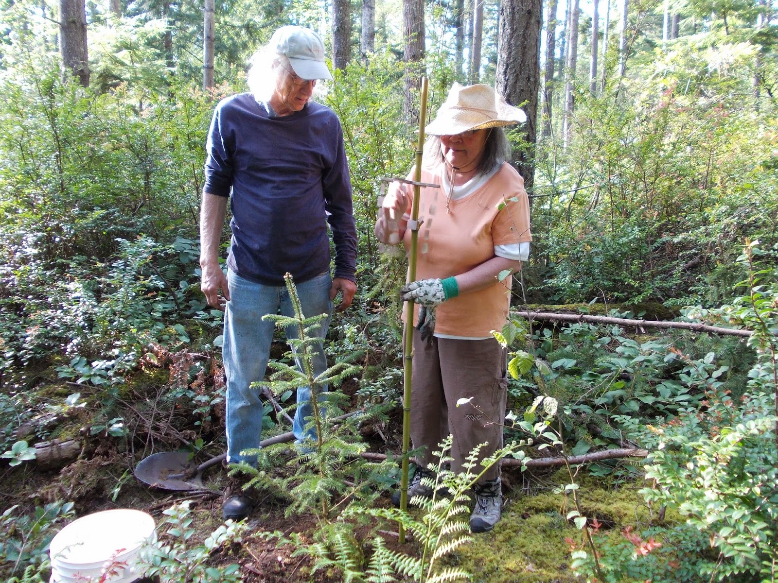 Makua O`o : Planting on a Hoaka Moon