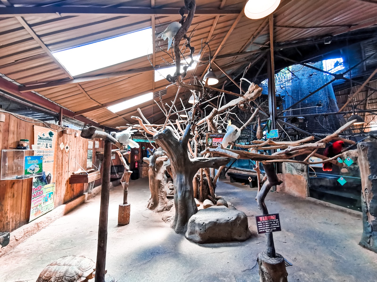 Activities For Kids | KL Tower Mini Zoo - Jia Shin Lee