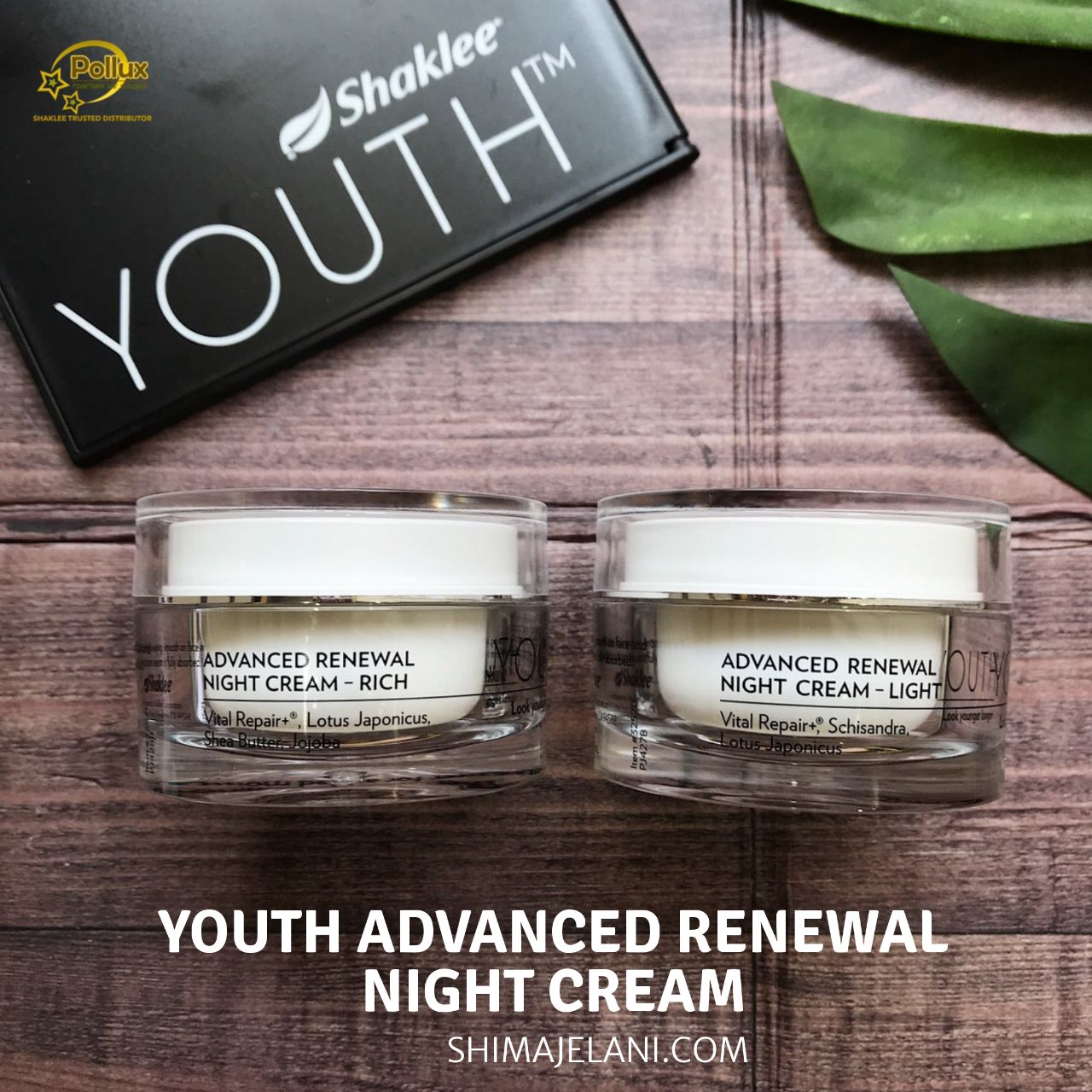 Youth Advanced Renewal Cream Krim Malam Shaklee