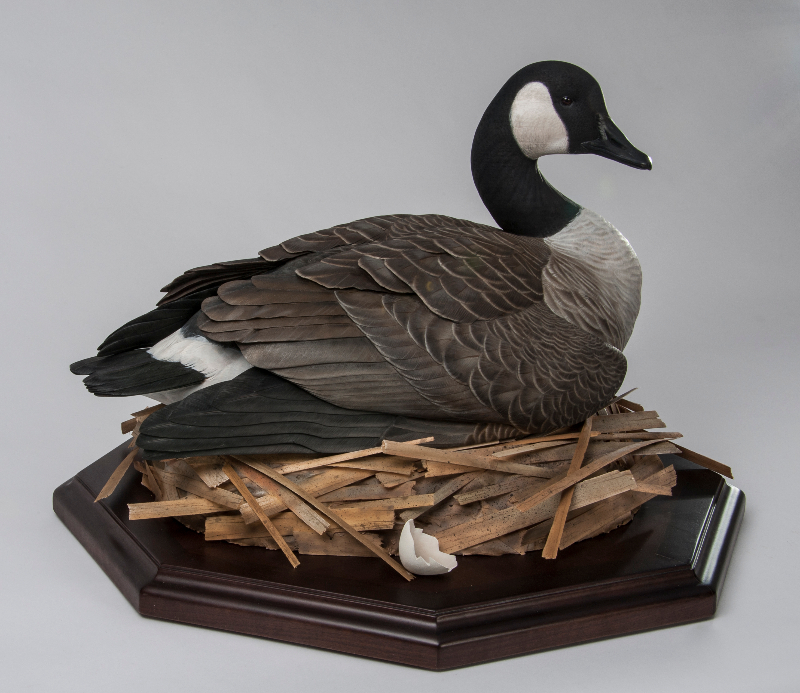 Wayne Simkin - Two-time World Champion Wood Carver - Travels With Birds