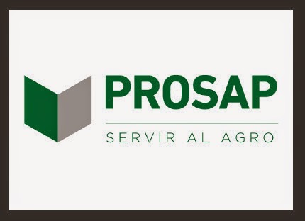 SPLIF El Bolsón: octubre 2014