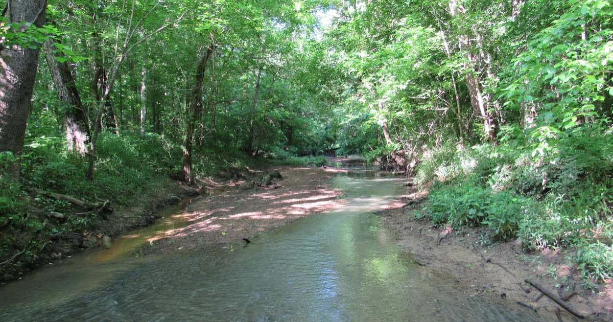 My Father's World: May Stream Sampling