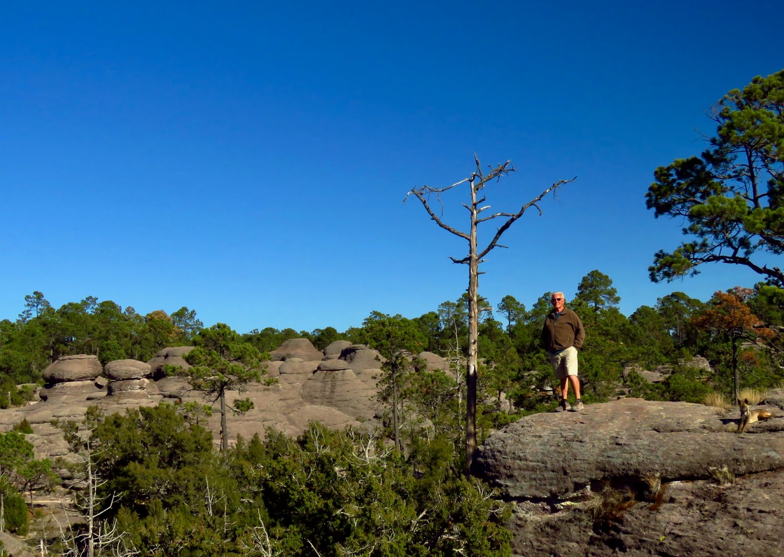 Wandering w/ Serenity: Parque Natural Mexiquillo
