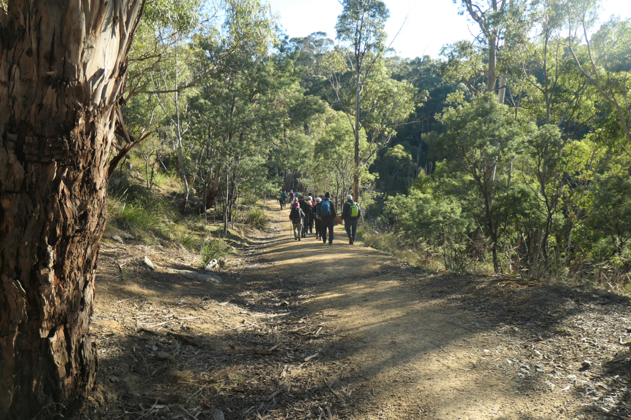 Ramblings: Knocklofty 29 Jun 2021