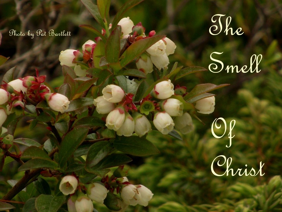 David Christensen: THE SMELL OF CHRIST