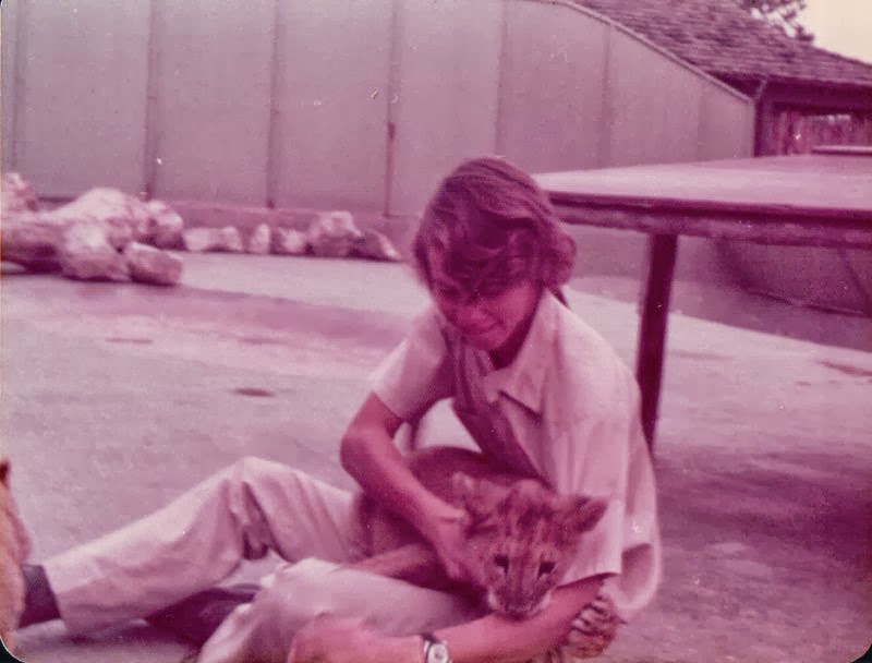 Adventures of a Zookeeper: Who is a Zoo Curator?