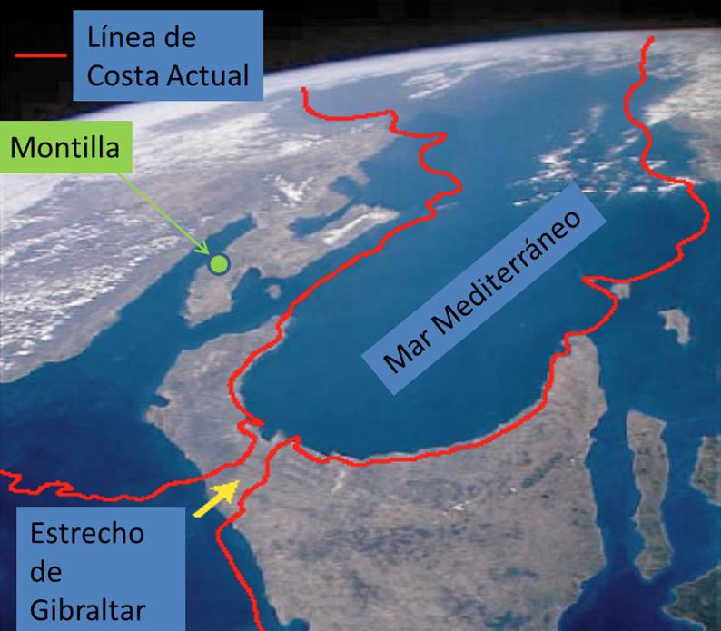 MUSEO HISTÓRICO LOCAL DE MONTILLA: Ficha explicativa 4: MEGA BALANUS