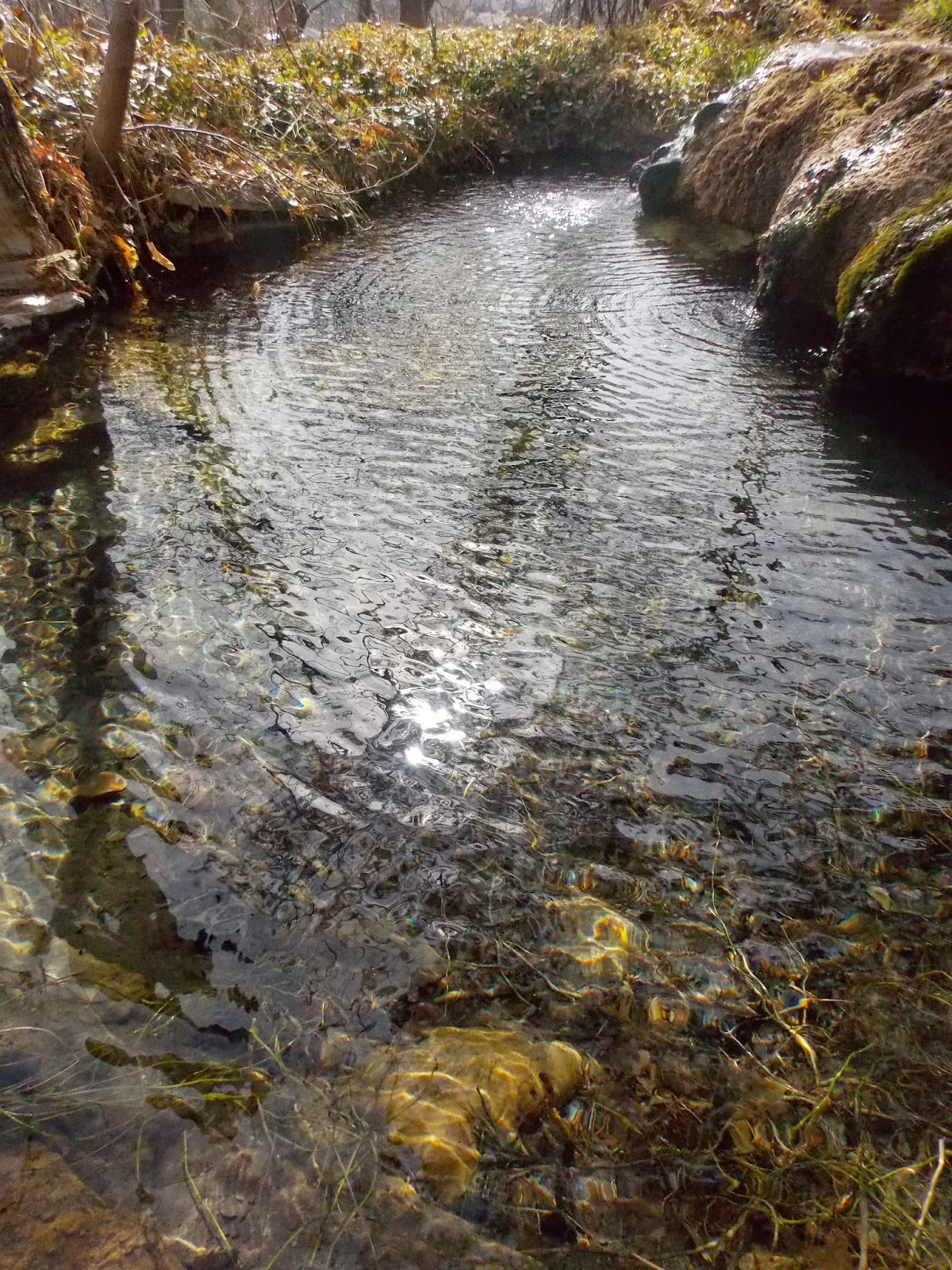 Get Outside, Albuquerque: A Lush Escape to Carlito Springs