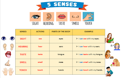 English Corner: Five senses - Can/Can't