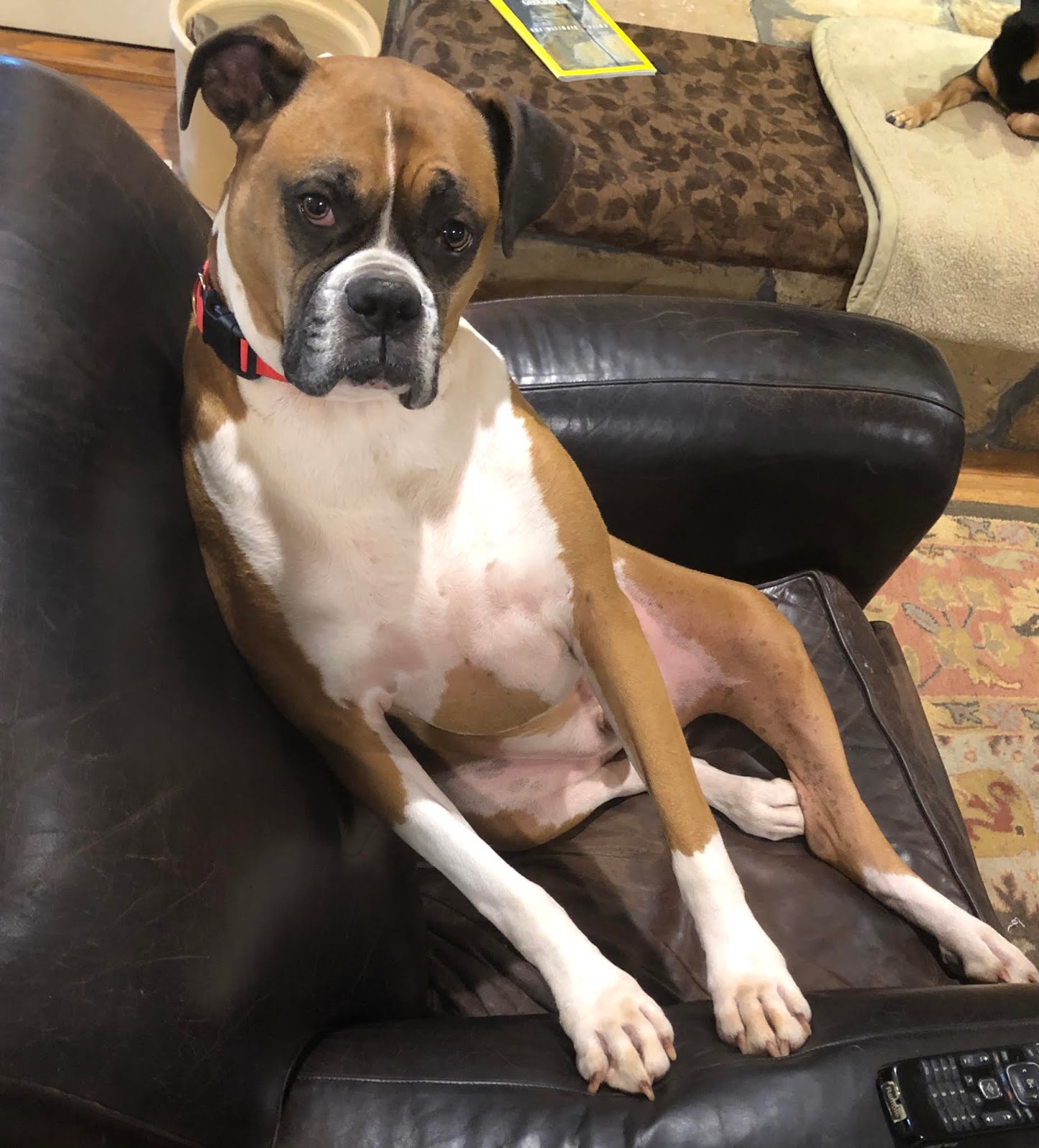 Graceful Grandma ...