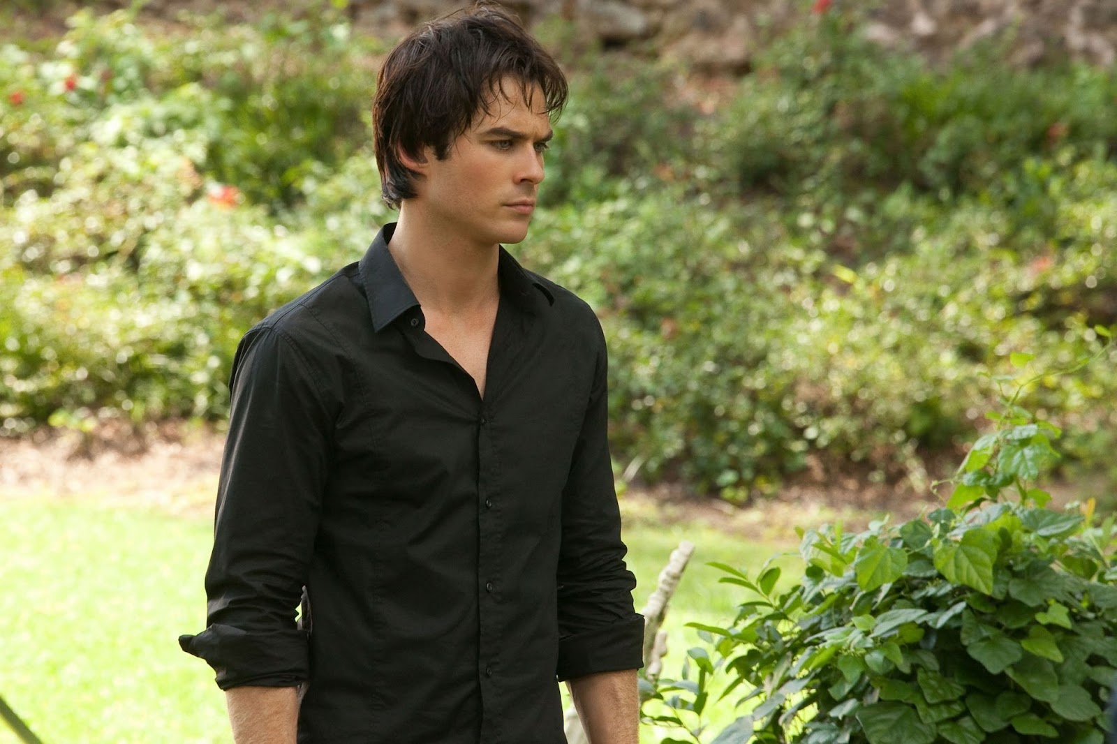 Is Damon A Vampire In Season 7 at Anita Sosebee blog