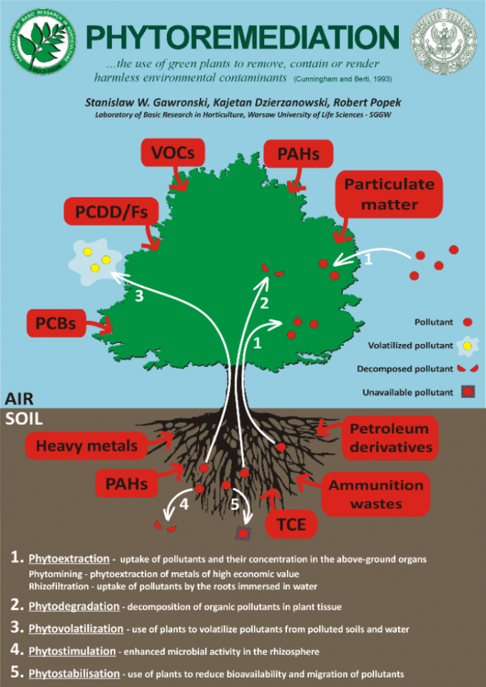 KaryaTulisIlmiah123.com: Pemulihan Lahan Tercemar Dengan Fitromediasi