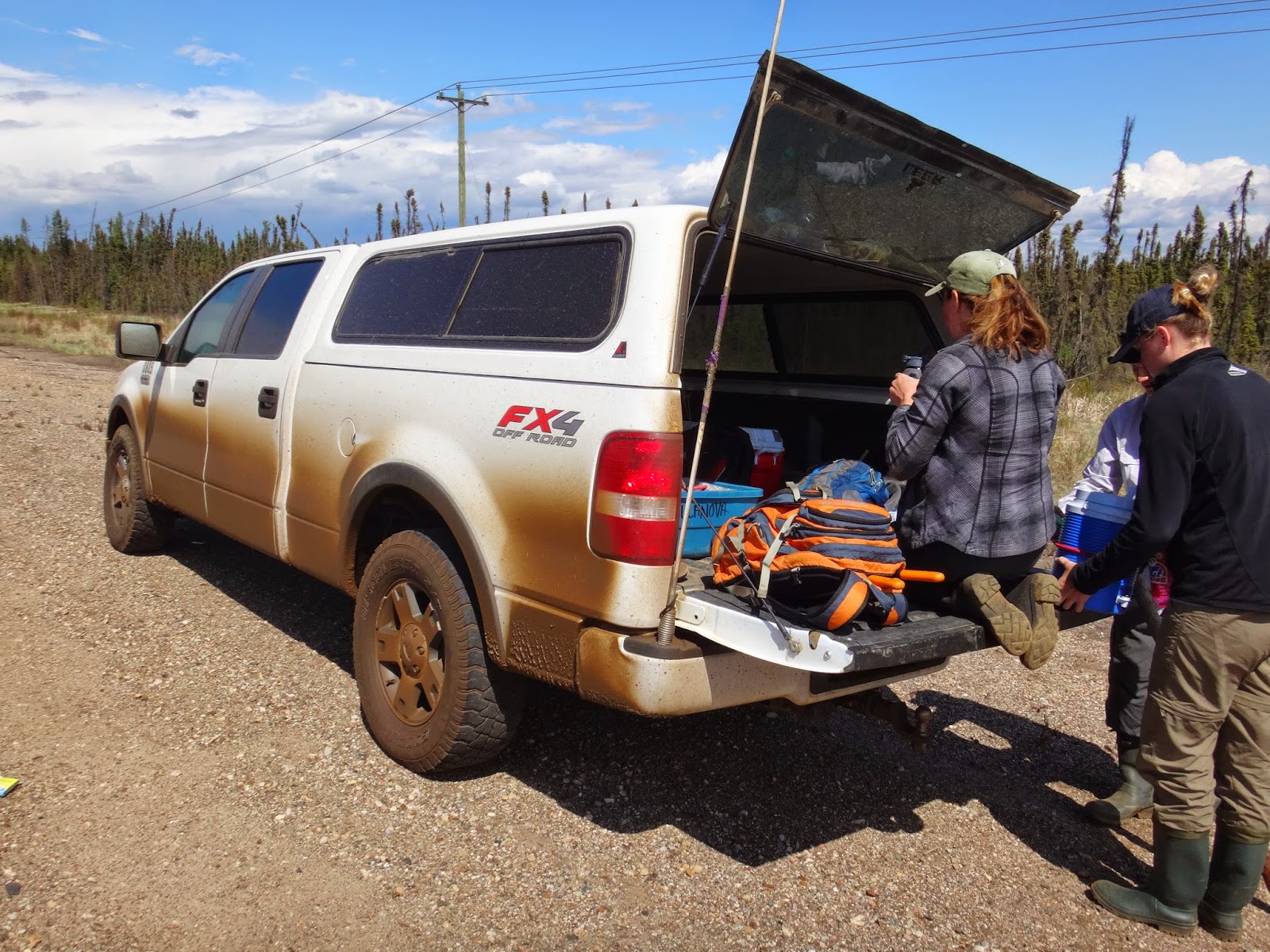 The 55th Parallel: Pictures 2014