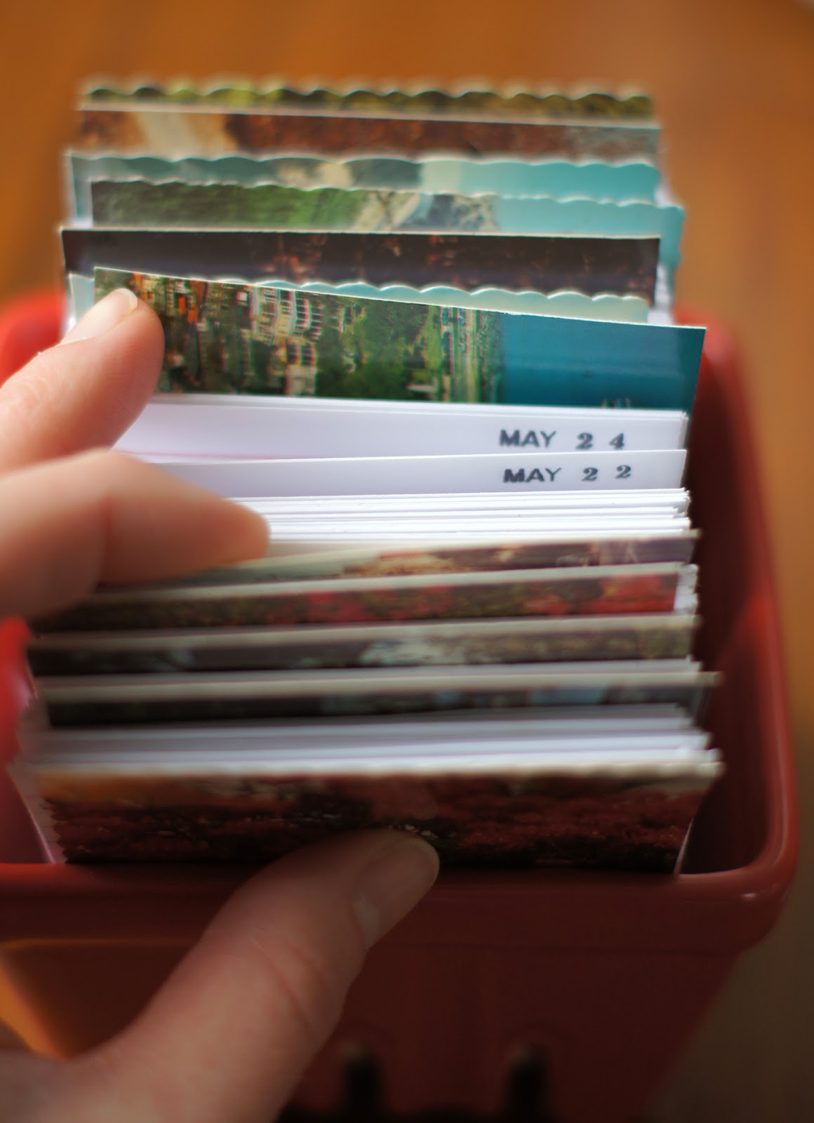 Sutton Grace: perpetual daily journal calendar