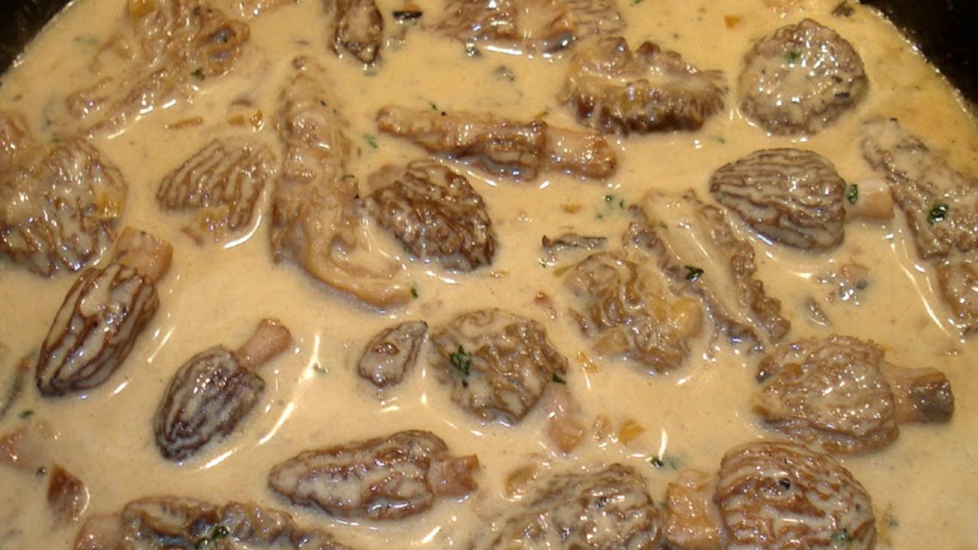 Crème de morilles