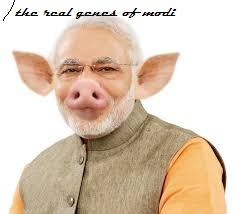 India Funny: Modi funny. Modi's real genes.. Pig