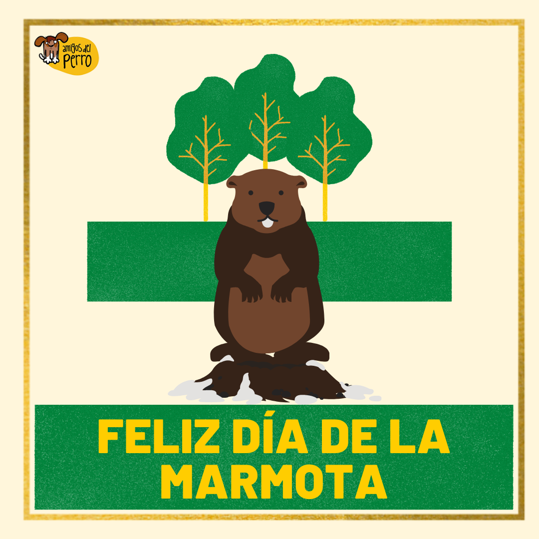 Feliz día de la marmota