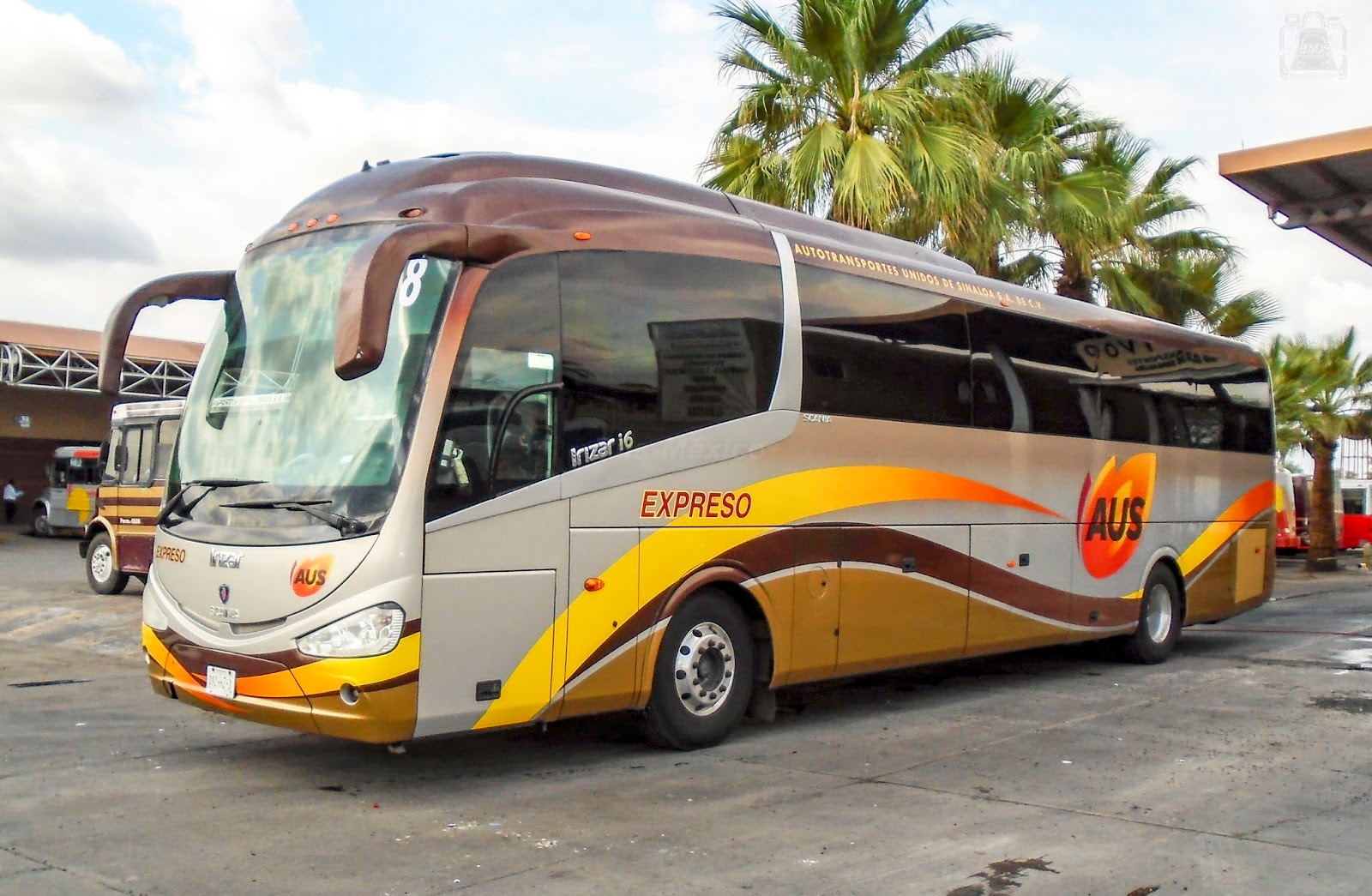 Autotransportes Unidos de Sinaloa: Expreso - Bus-México