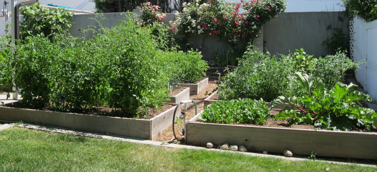 CRAZY BY DESIGN: Just Call Me “Farm Girl”!!