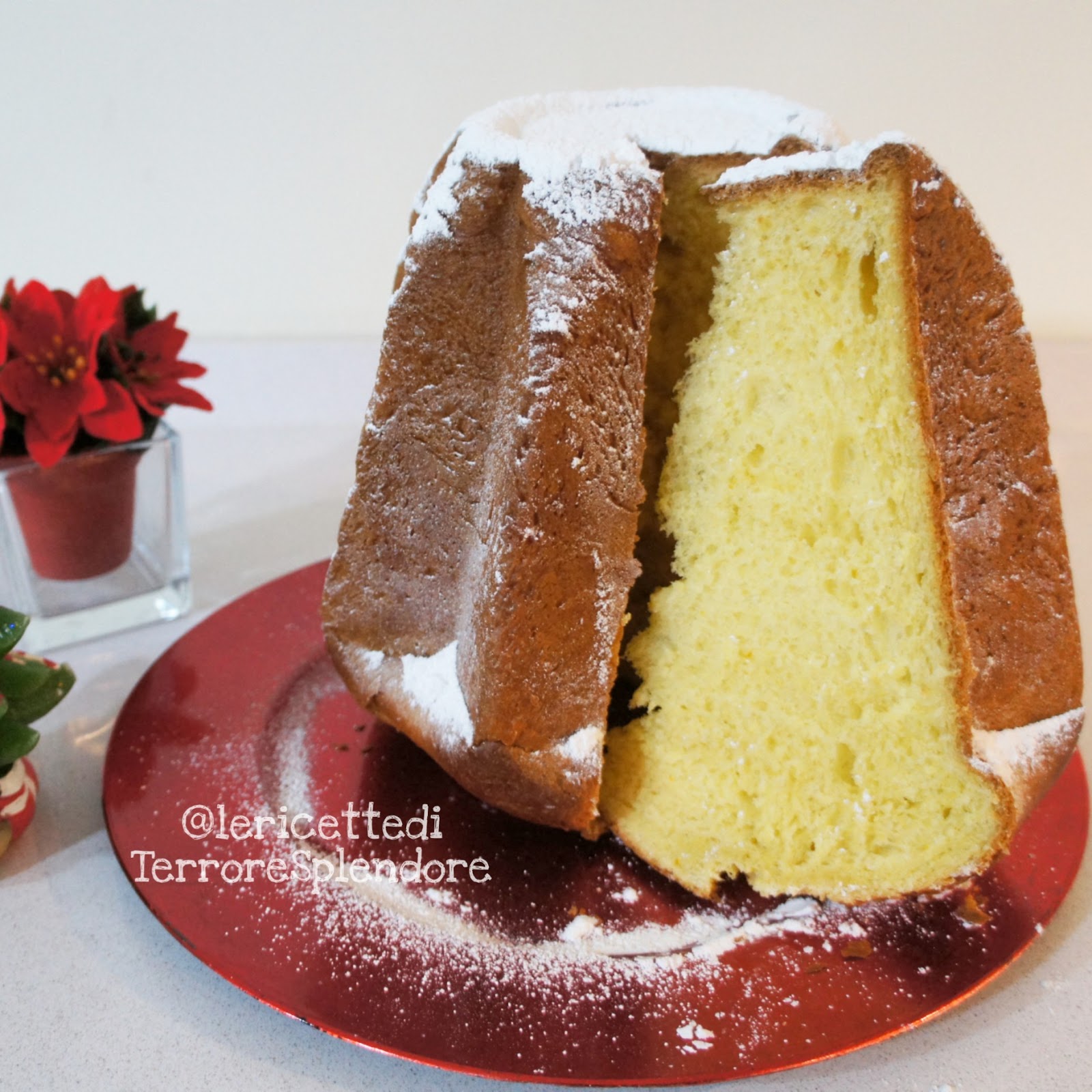 Pandoro semplice con impasto unico