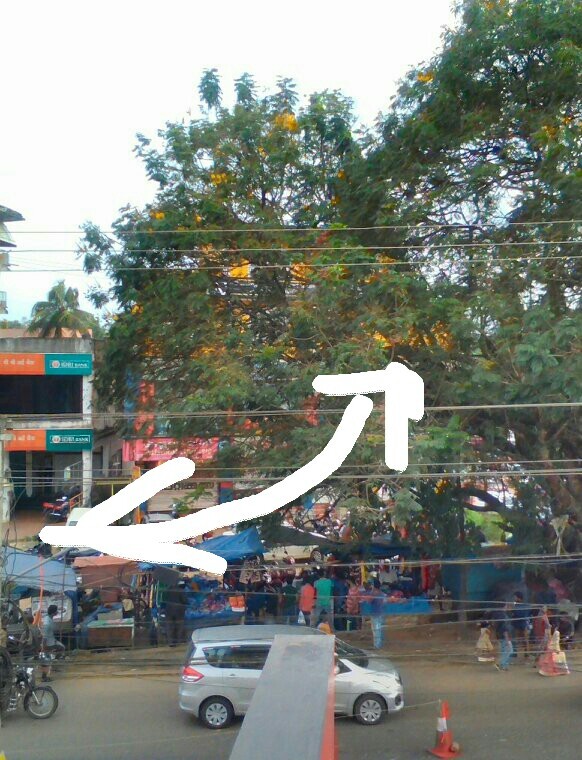 ADOOR TOWN , PATHANAMTHITTA KERALA : ADOOR TOWN IN PATHANAMTHITTA ...