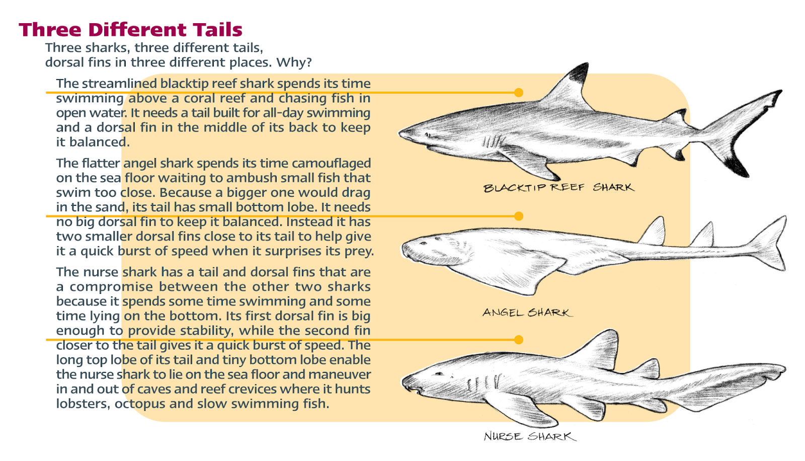 Keith Meehan Creative: Information Graphics