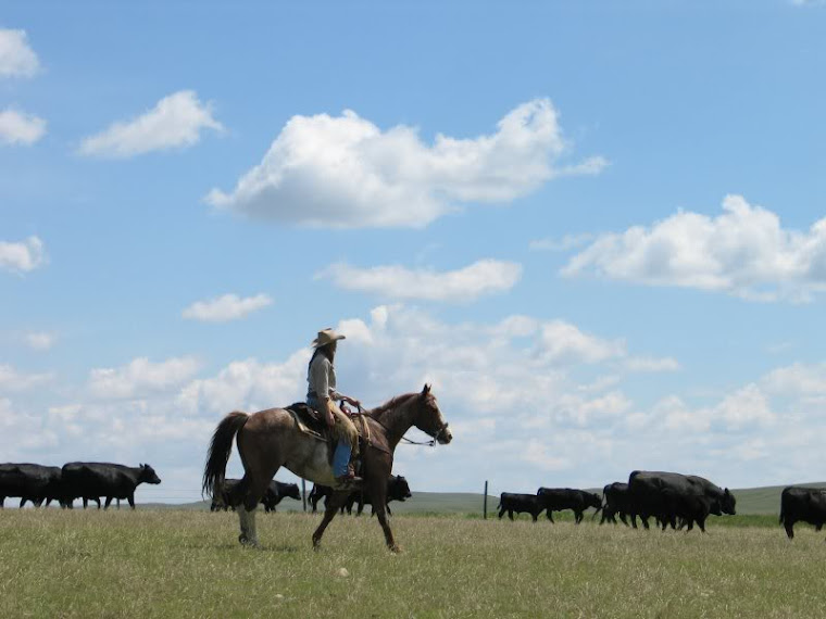 Cowgirl Visionary: "Saddlebronc Girl" Cowgirl Profile: Kaila Mussell