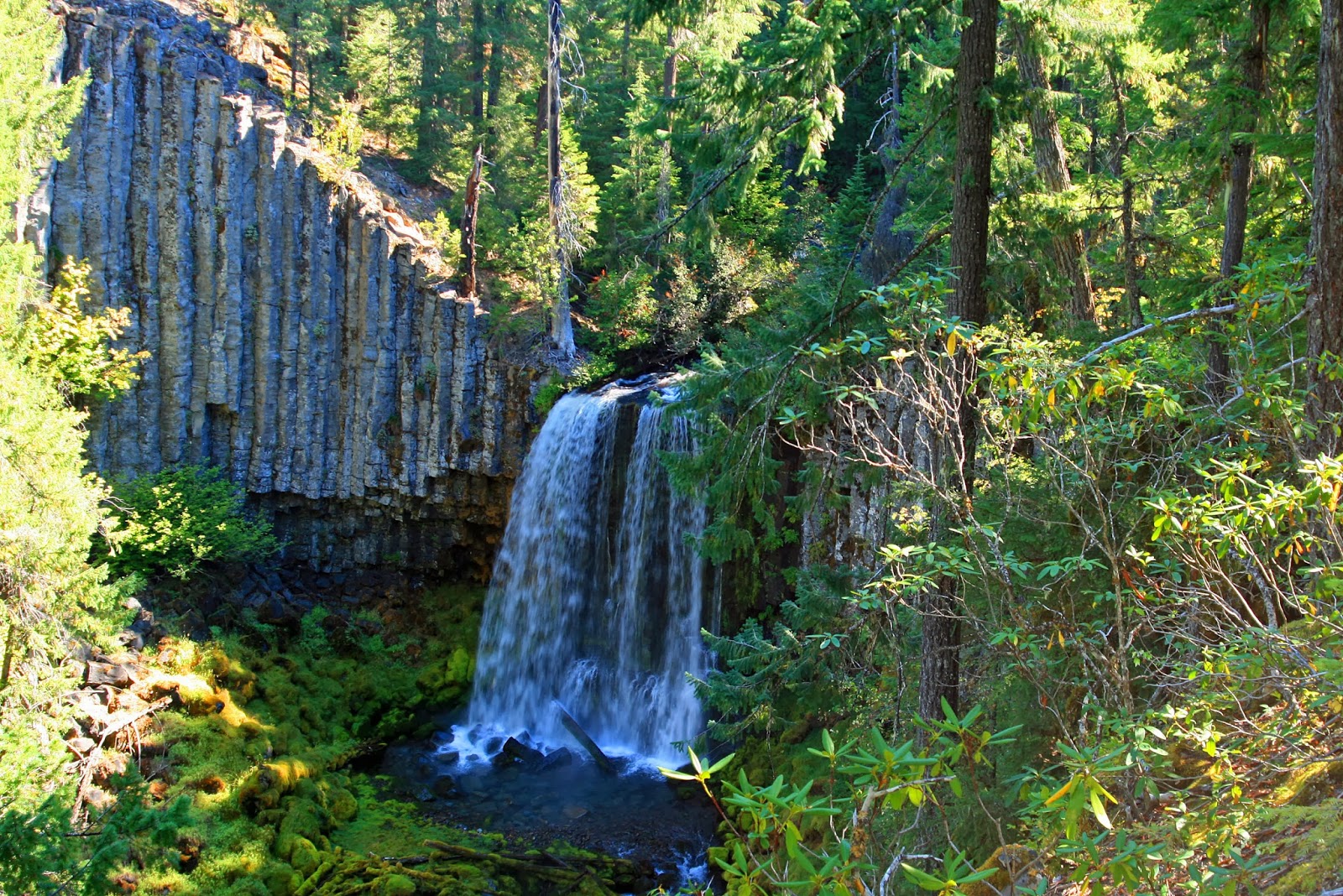 Goan's On: Pretty Places in WA/OR from this summer.....