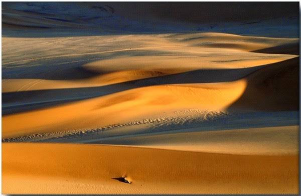 Die Woestynkinders: Die Namib Woestyn