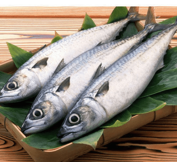 Vanjaram Fish In English Seer Fish King Fish In Tamil 