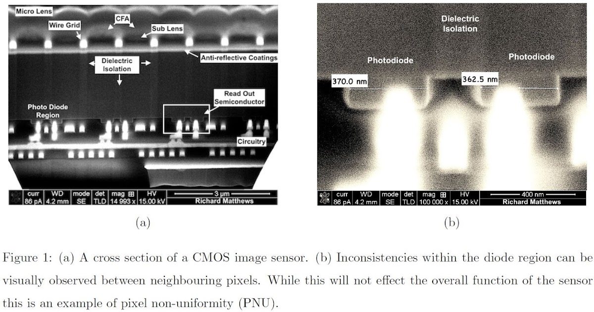 Image Sensors World: Pixel Variations under Microscope
