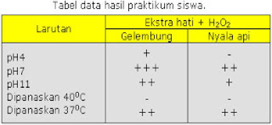 BIOLOGI GONZAGA: ENZIM METABOLISME