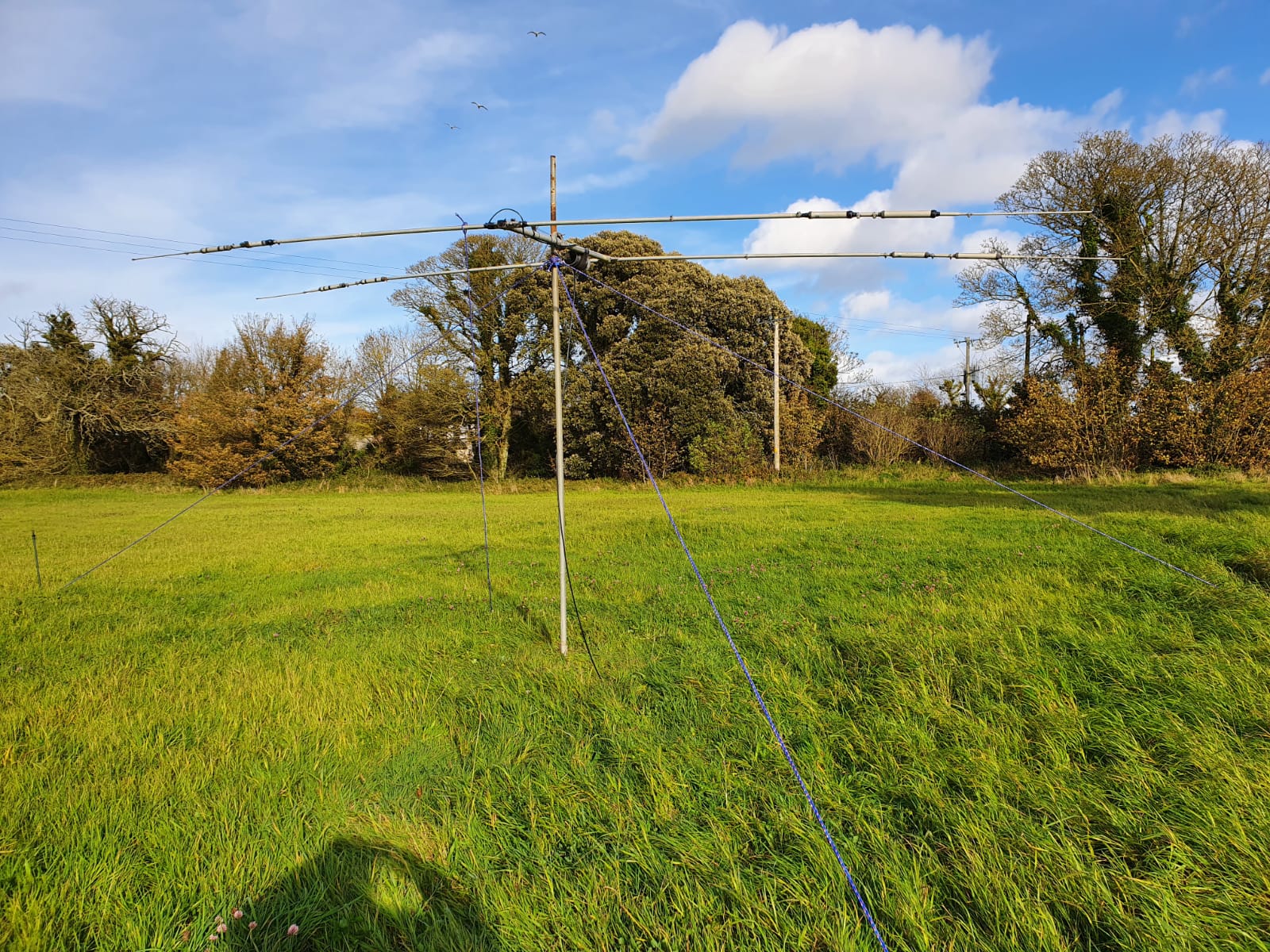 Giving the 20m Portable Yagi a Shot