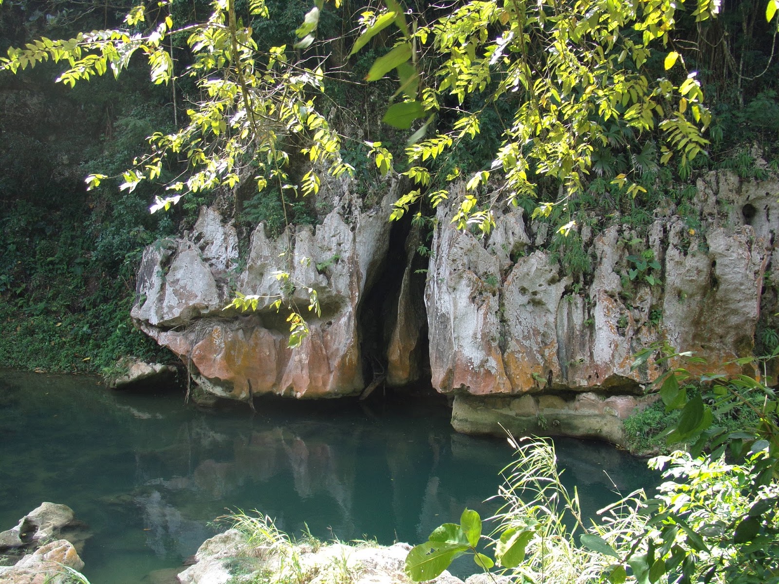 Island Butterfly Travelogue: The Infamous Pum Pum Rock