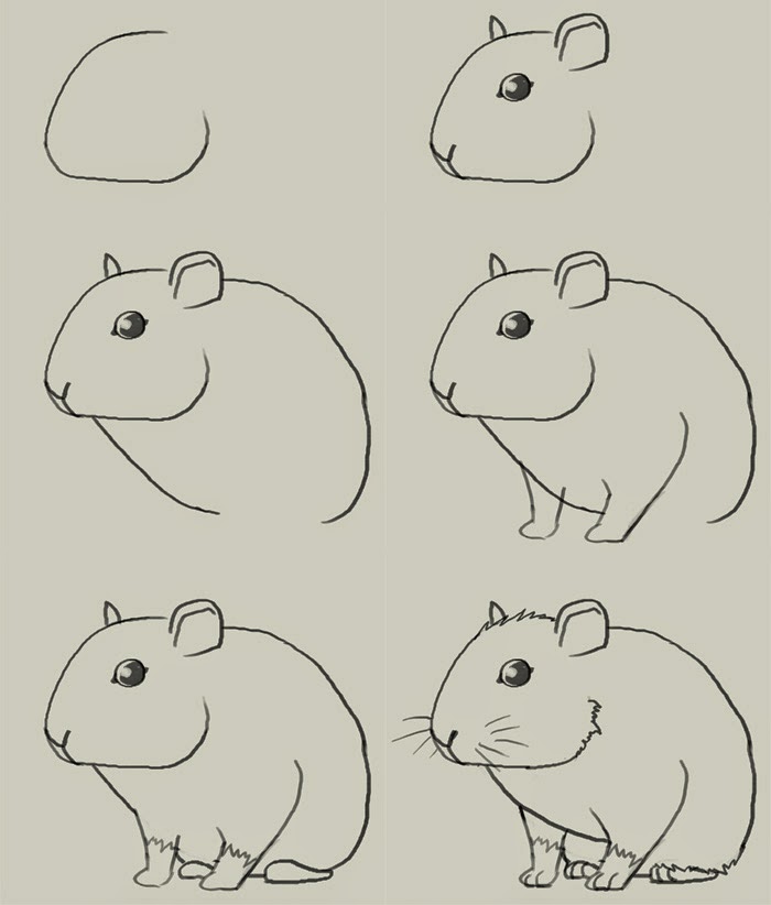 How To Draw A Mouse Easy Step By Step Learn To Draw And Paint