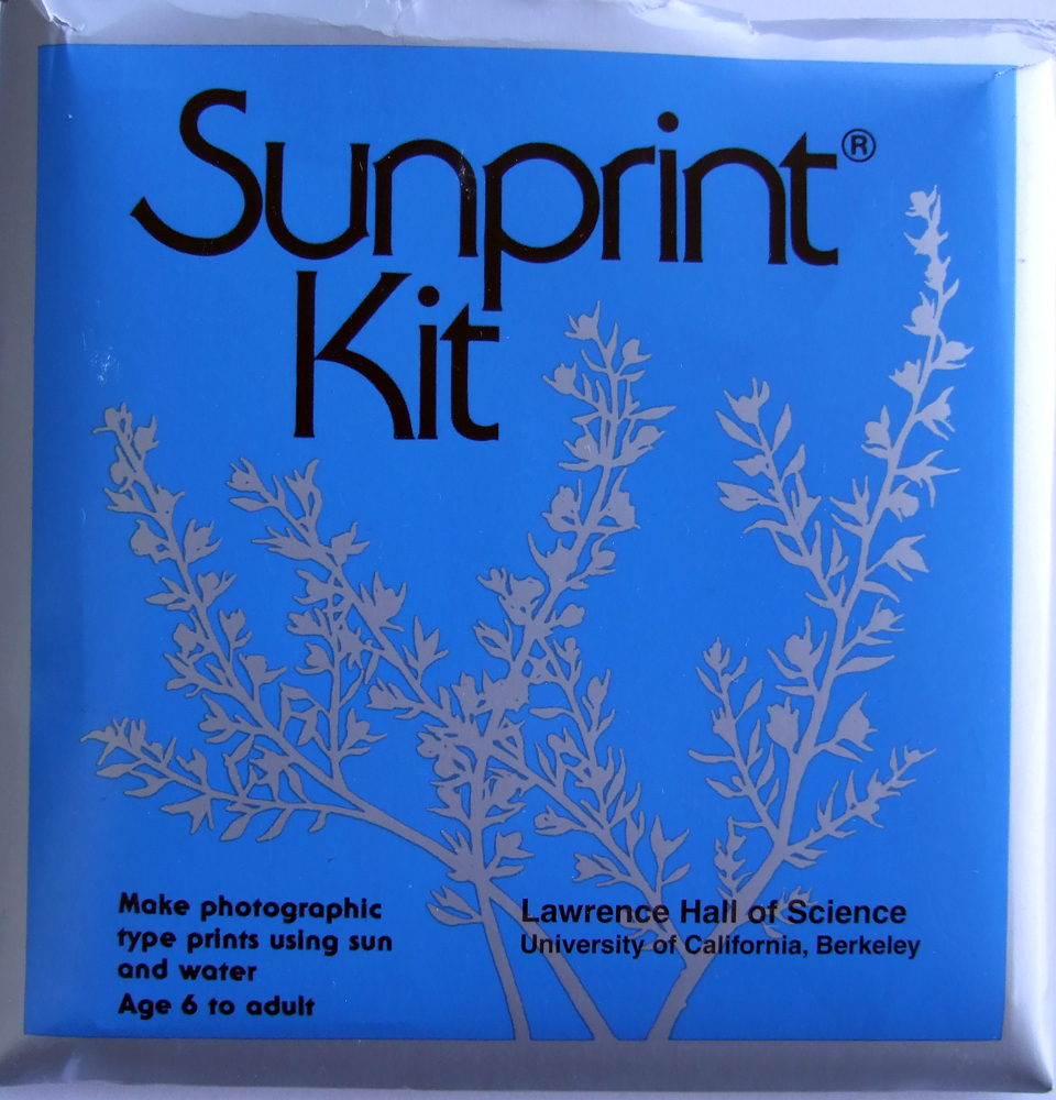 BIA Clubhouse: Where Friendship Rules: The Adventurers: Sun Prints ...